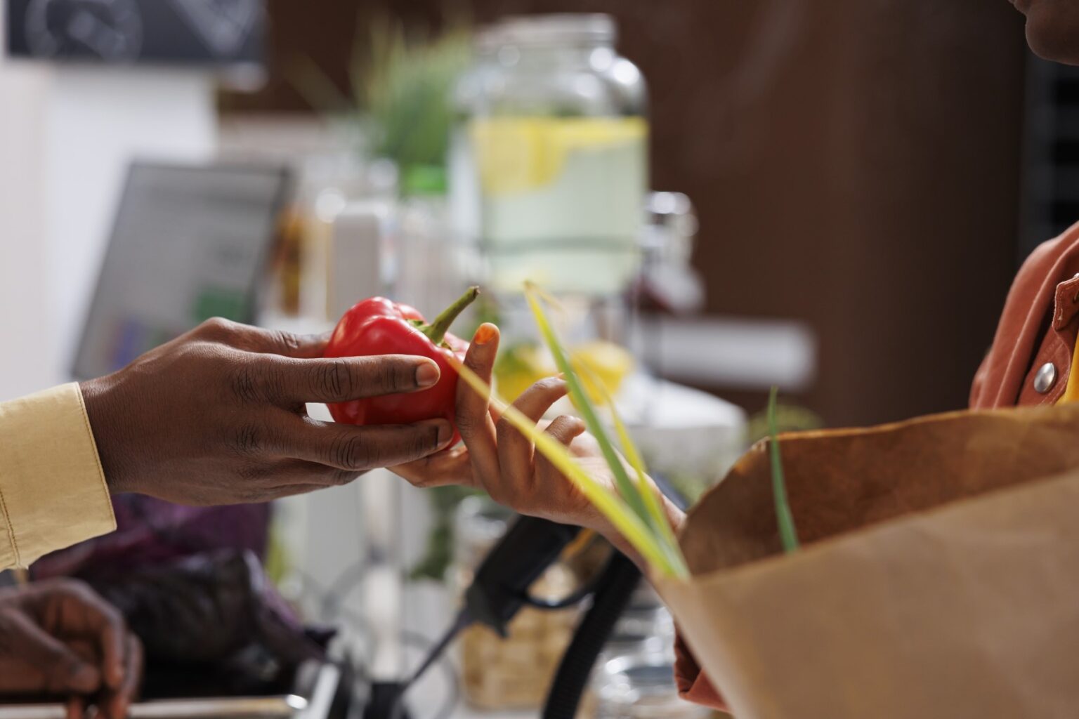 BIOFACH America 2025: The Meeting Point for the Organic Food Sector ...