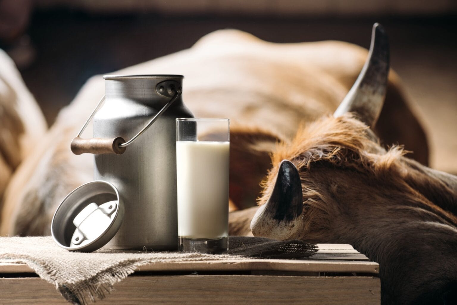 National Food Safety Standard Amendment Form for Raw Milk Published ...